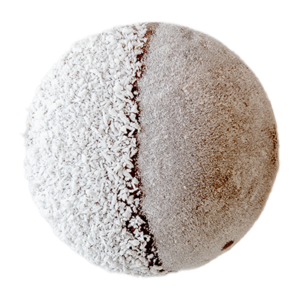 Fornecedor francês de mochi congelado - Mochiri