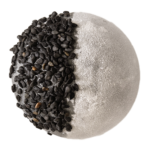 Fornecedor francês de mochi congelado - Mochiri